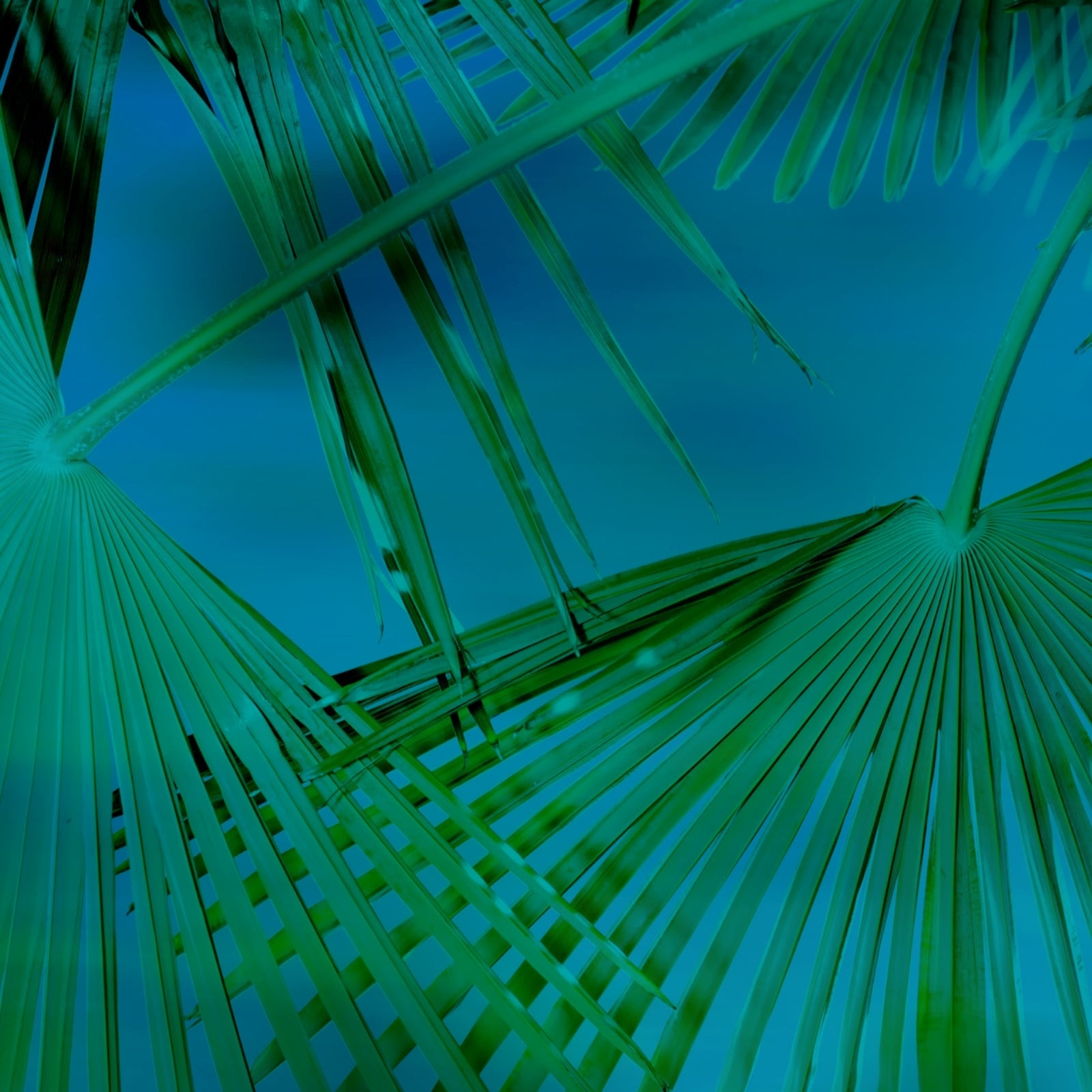 Gio Moretti | Online Shop | Luxury Brands Store – GIO MORETTI